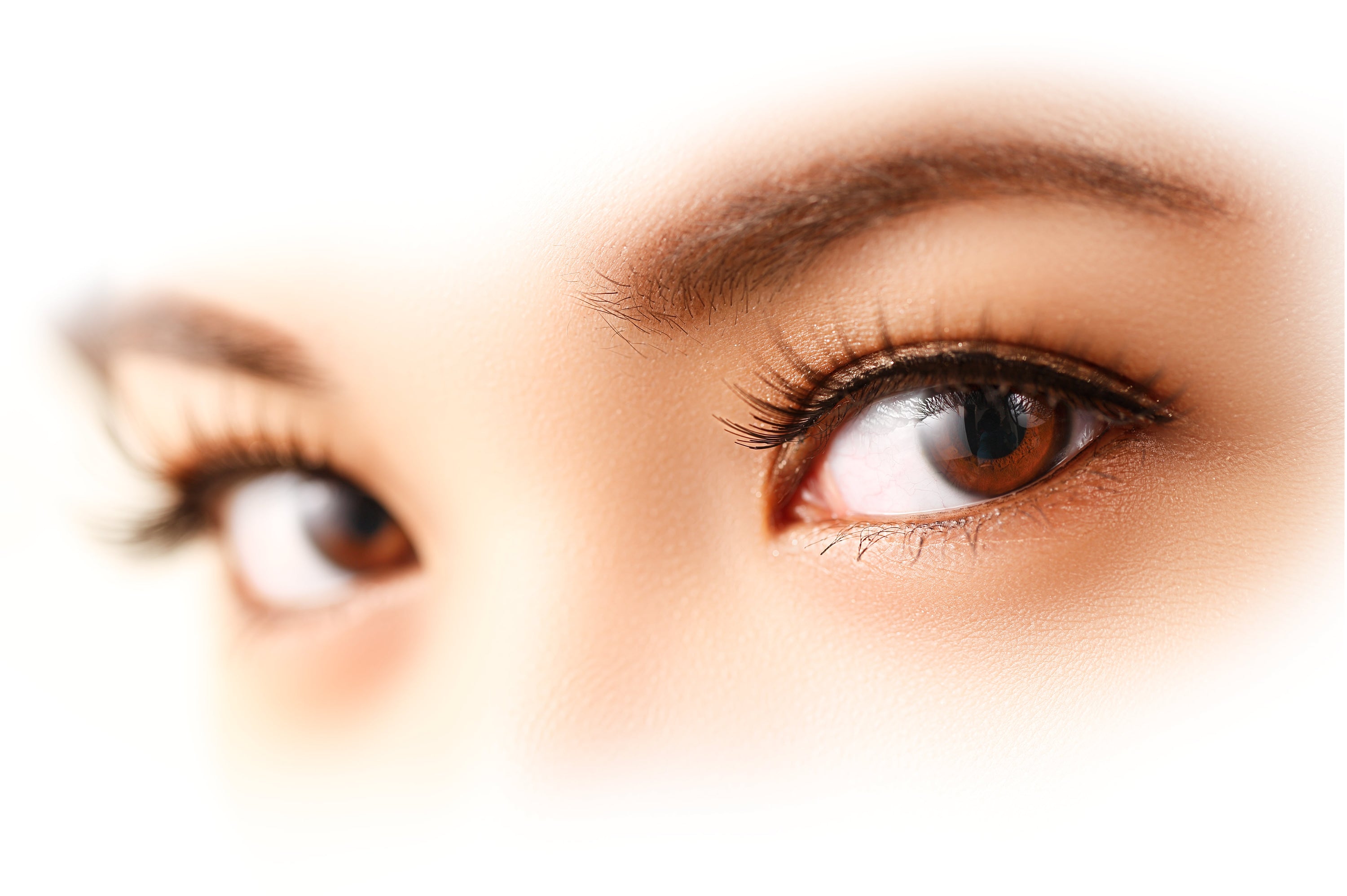 Colored Contacts for Dark Eyes | Primal Contact Lenses – PRIMAL ® Contact Lenses